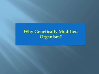 Genetically Modifed Organism | PPT
