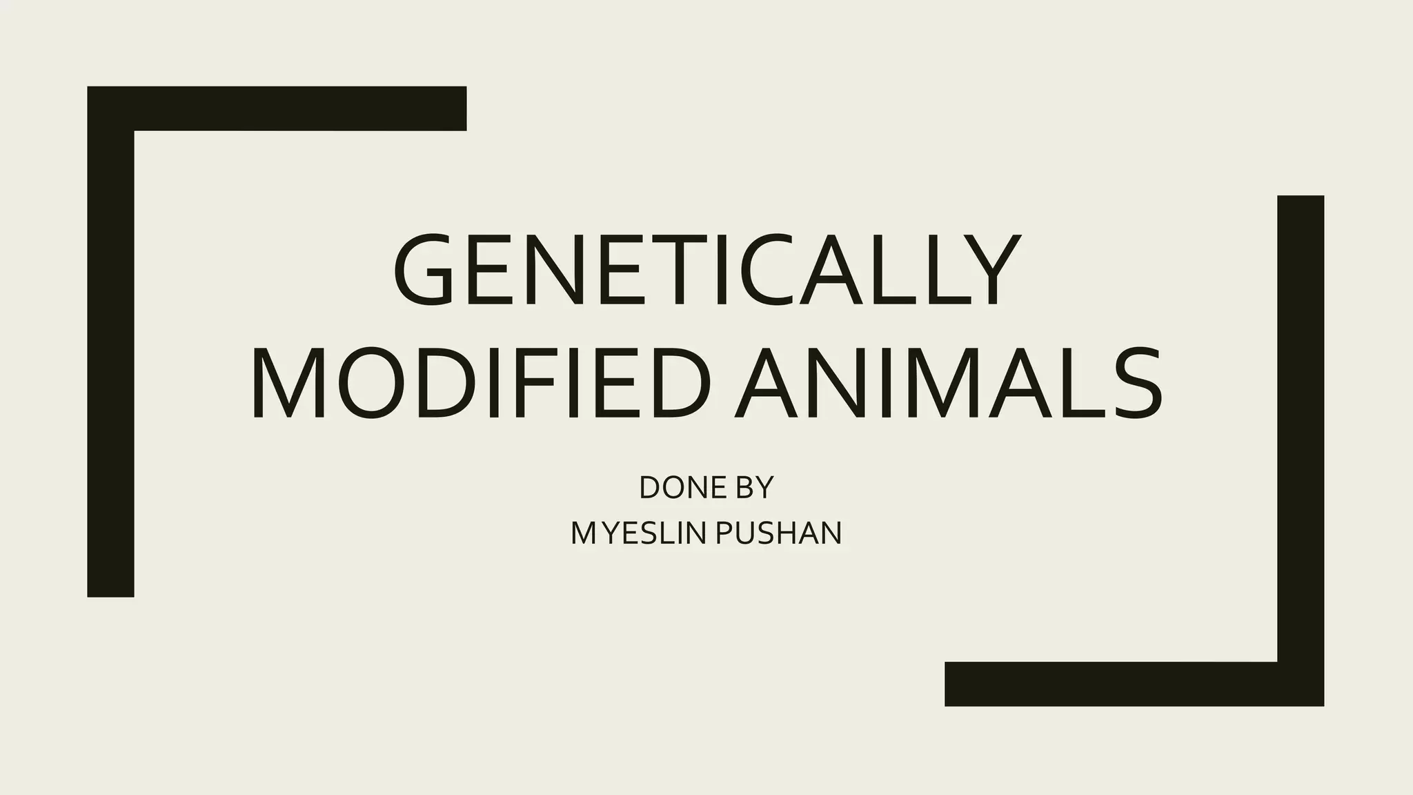 Genetically modified animals | PPTX