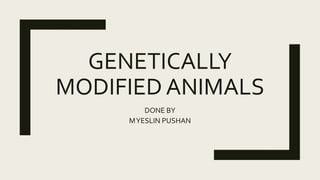 Genetically modified animals | PPTX | Biotech and Biomedical Industry ...