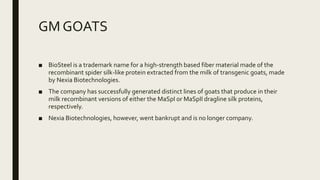 Genetically modified animals | PPTX