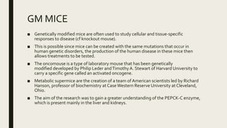 Genetically modified animals | PPTX