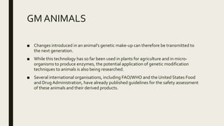 Genetically modified animals | PPTX