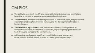 Genetically modified animals | PPTX