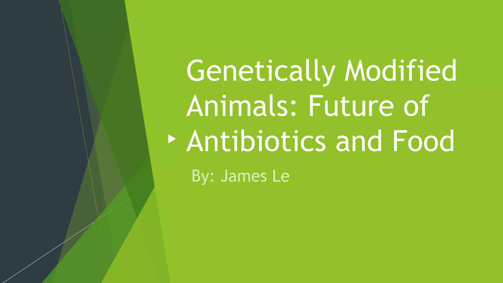 Genetically modified animals | PPTX