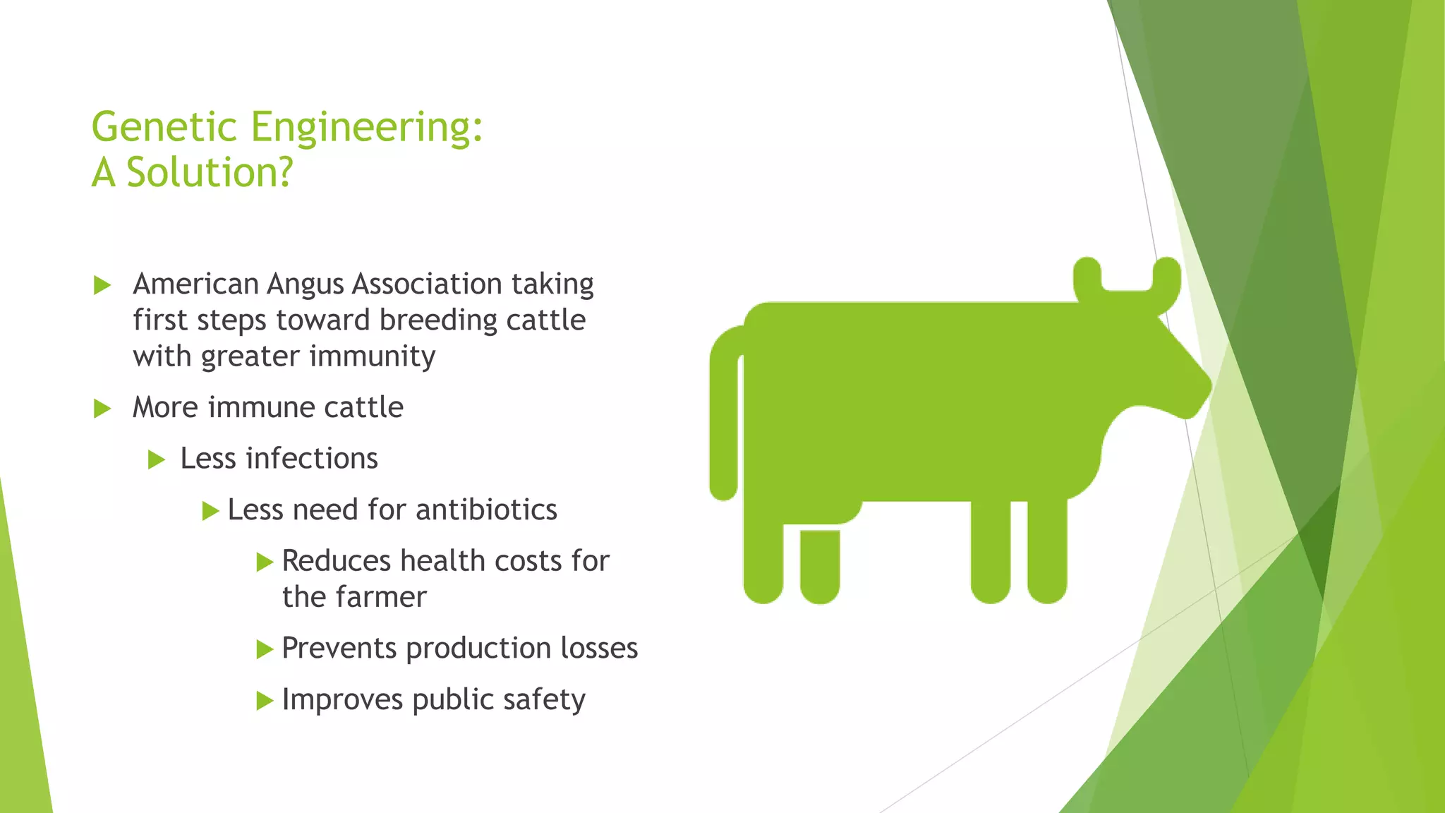 Genetically modified animals | PPTX