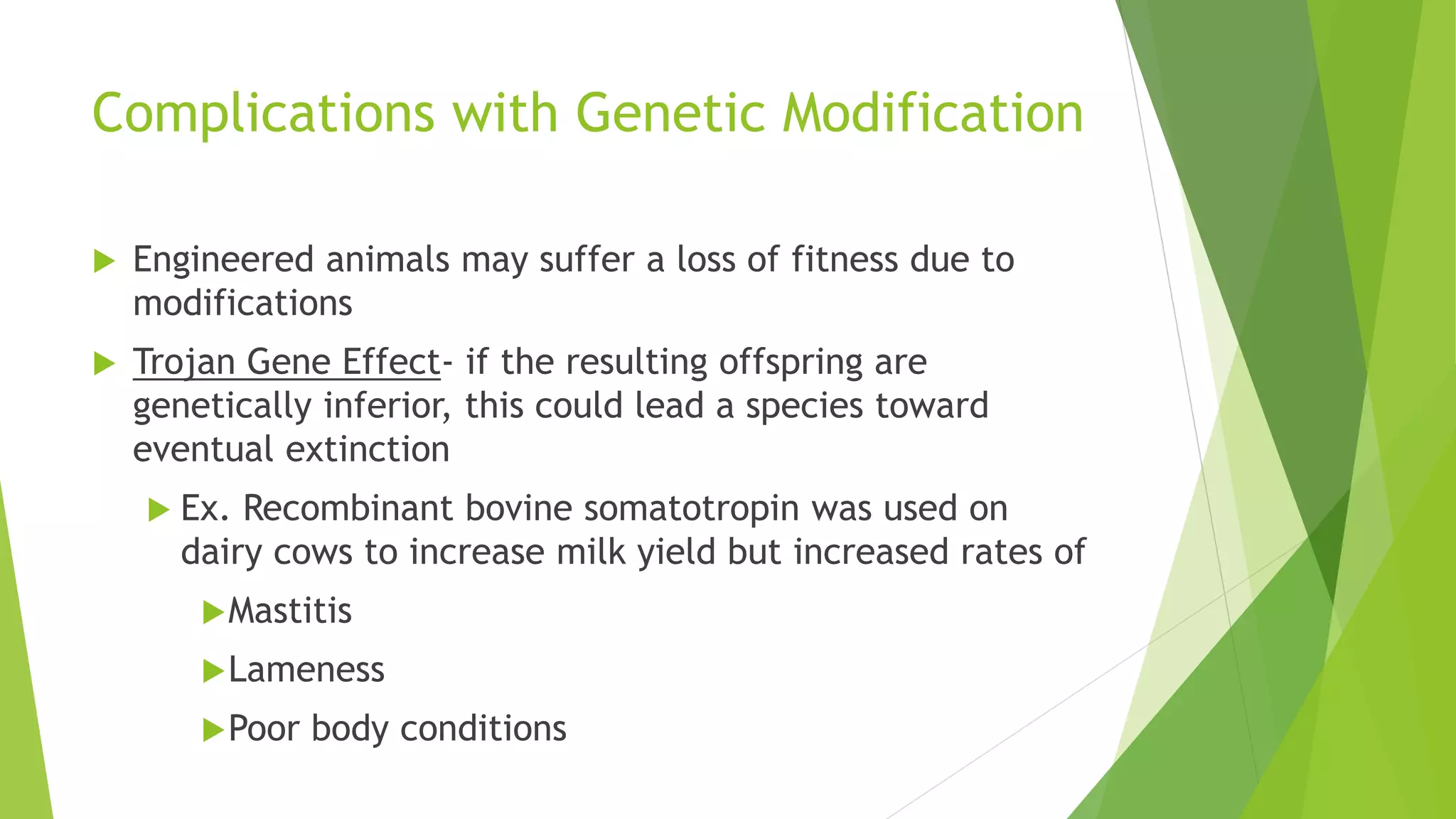 Genetically modified animals | PPTX