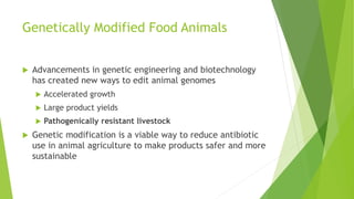 Genetically modified animals | PPTX
