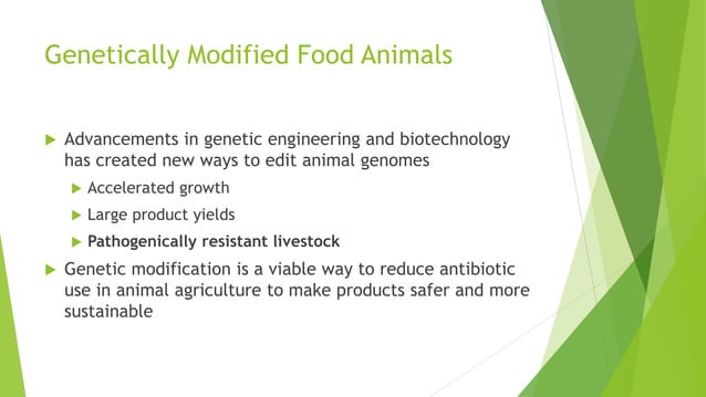 Genetically modified animals | PPTX