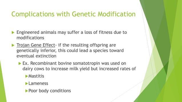 Genetically modified animals | PPTX