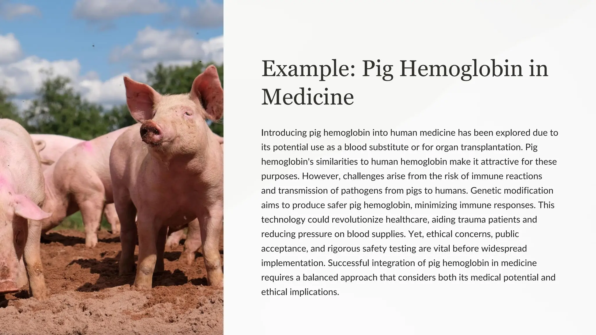 genetically modified animals and crop.pdf