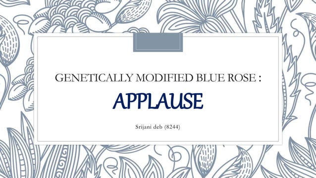 Genetically Modified Blue Rose Ppt