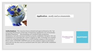 Genetically modified blue rose | PPTX