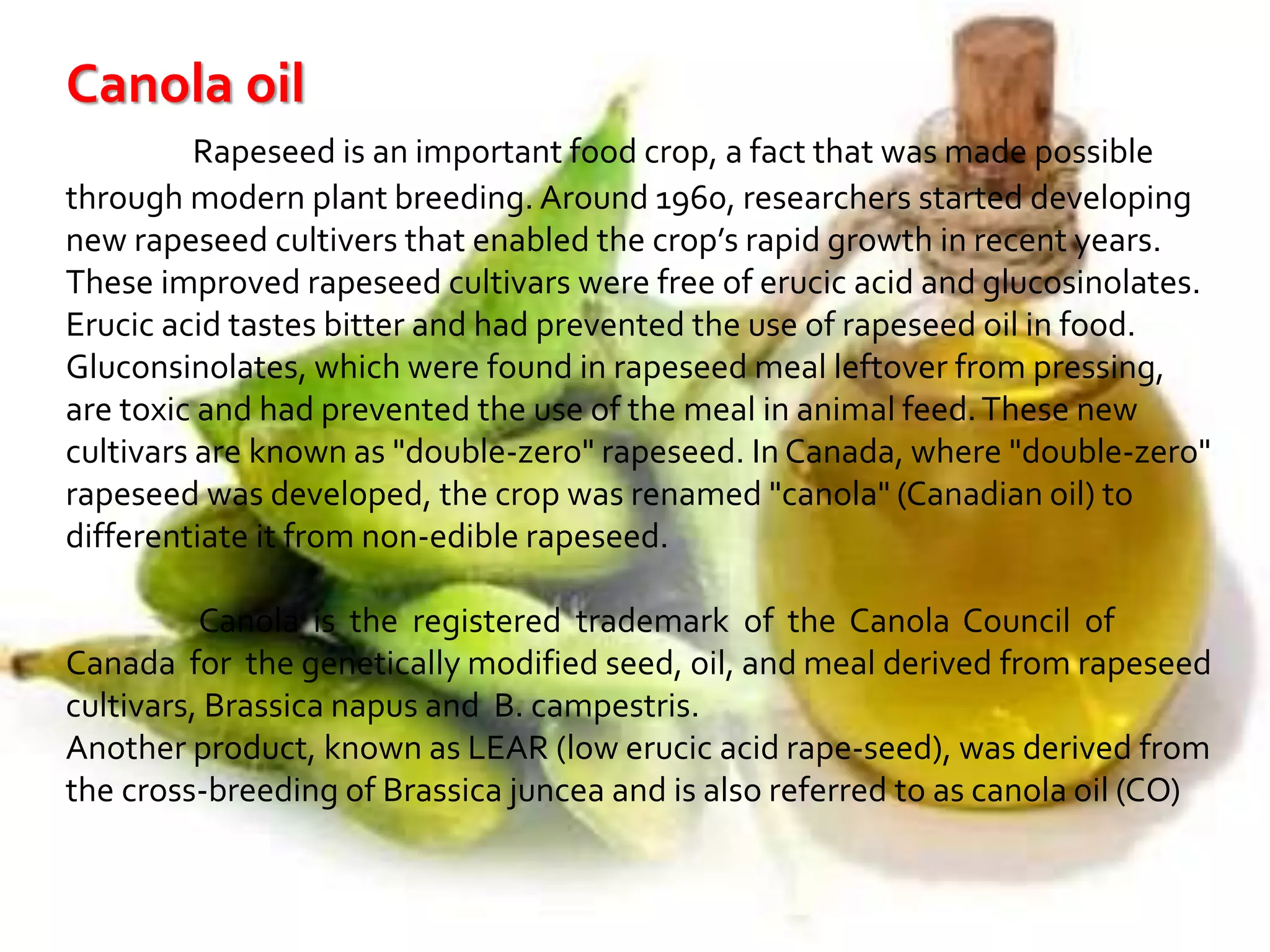 Genetically modified canola oil | PPSX