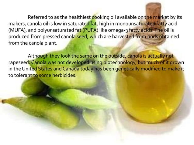 Genetically modified canola oil | PPT