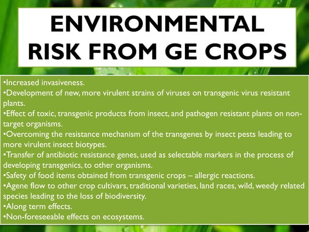 Genetically modified crop | PPTX