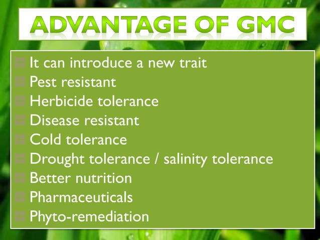 Genetically modified crop | PPTX