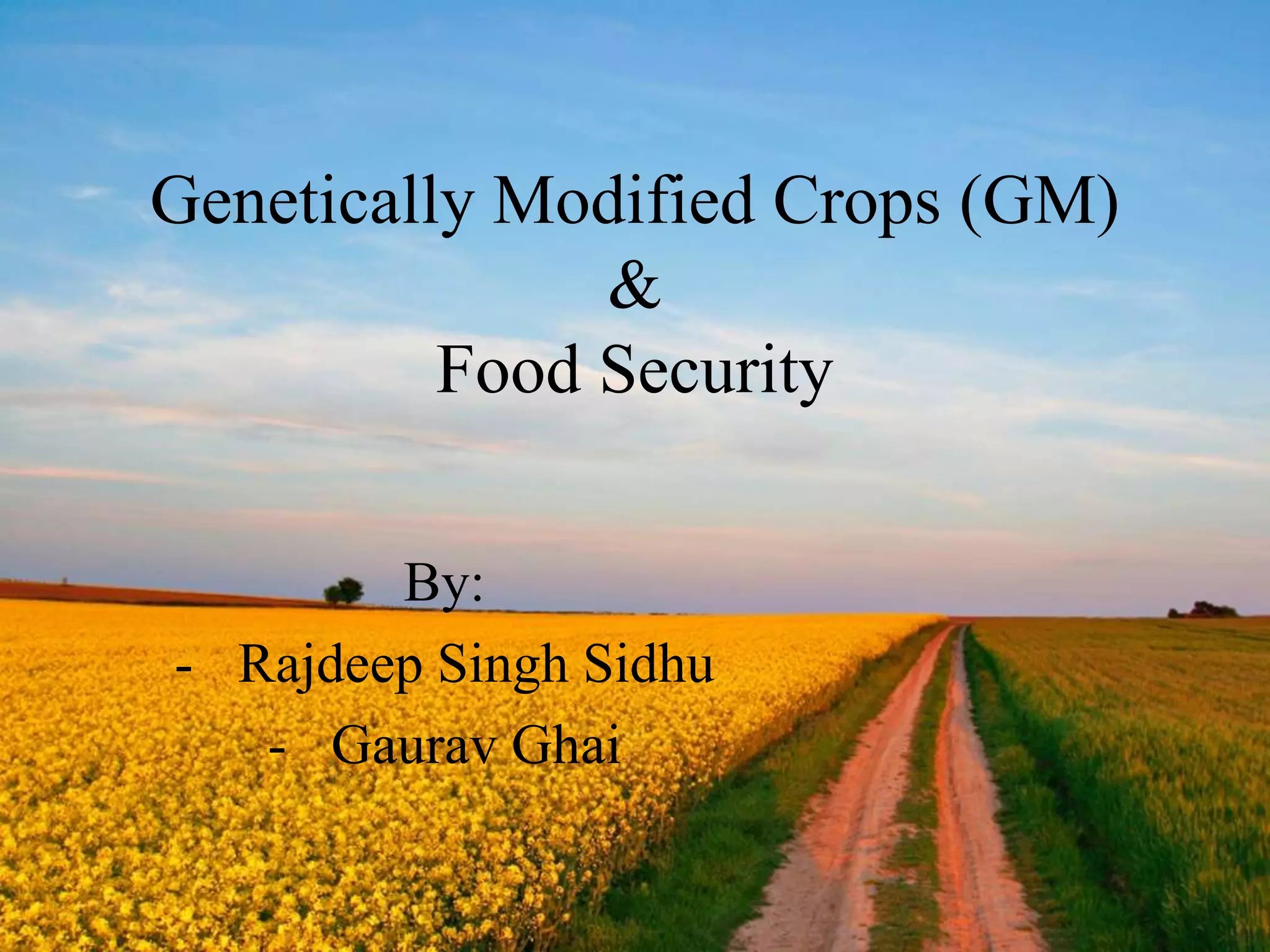 Genetically modified crops and food Security..scientific facts | PPTX