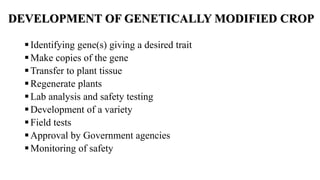 Genetically modified crops | PPTX