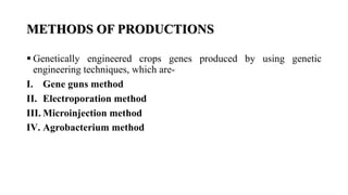 Genetically modified crops | PPTX