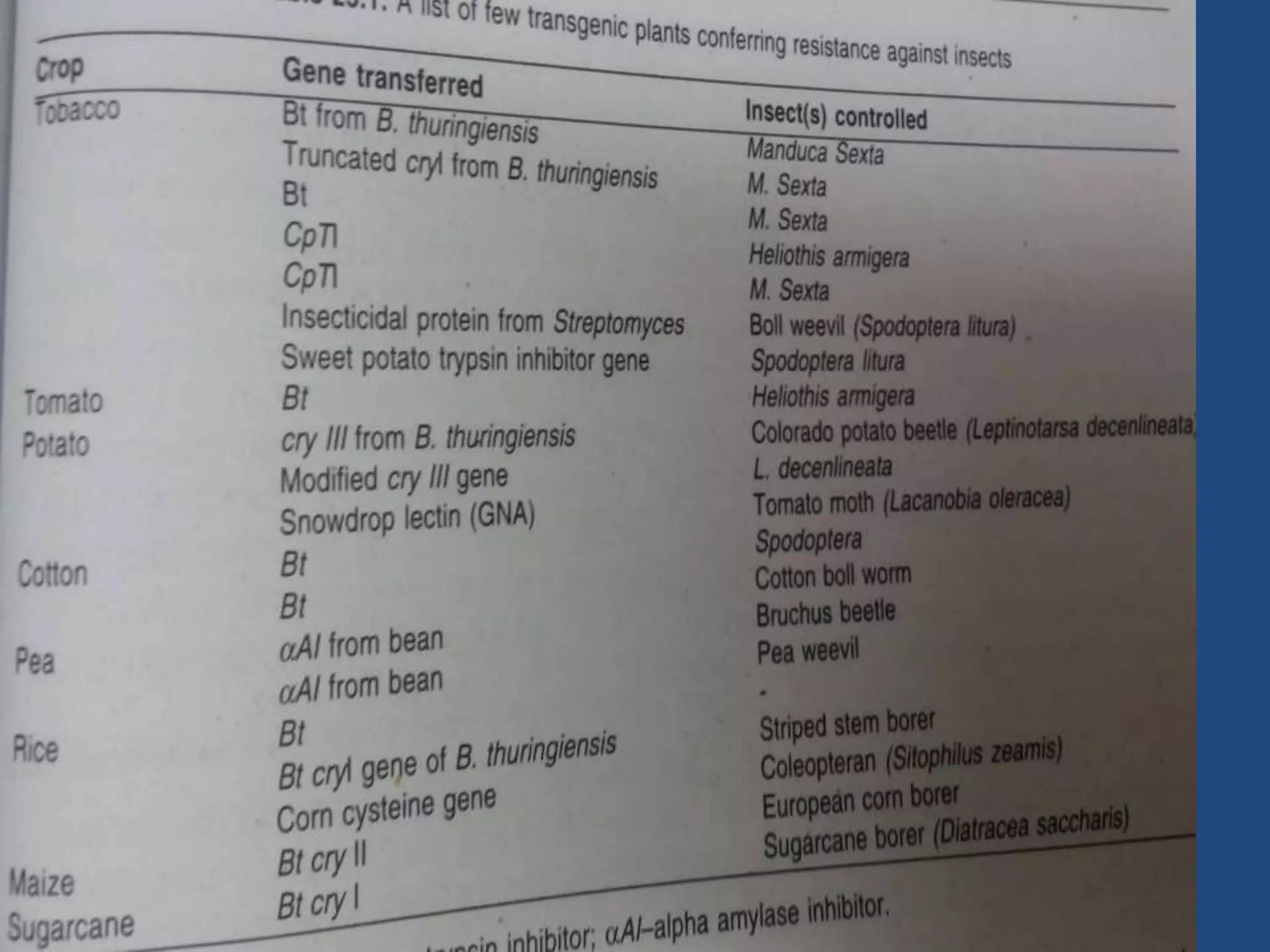 Genetically modified crops | PPTX
