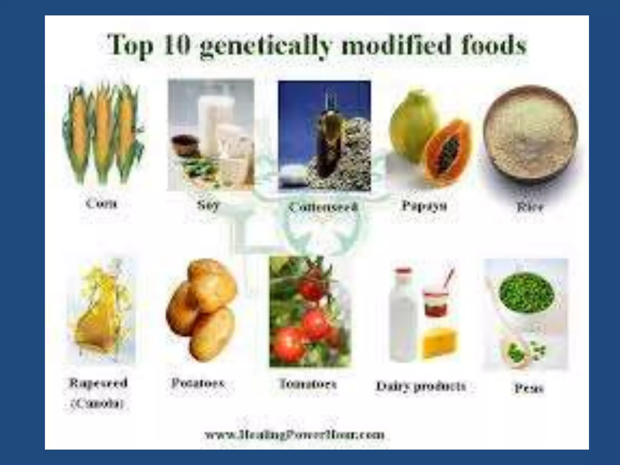 Genetically modified crops | PPTX