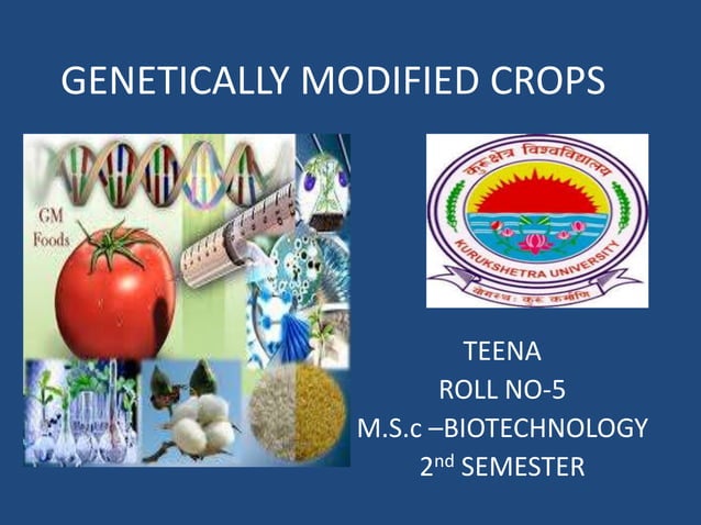Genetically modified crops | PPTX