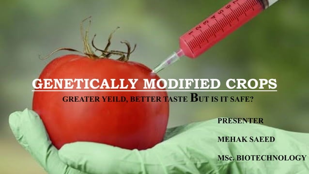 Genetically modified crops | PDF | Agriculture | Industries