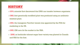Genetically modified crops | PDF