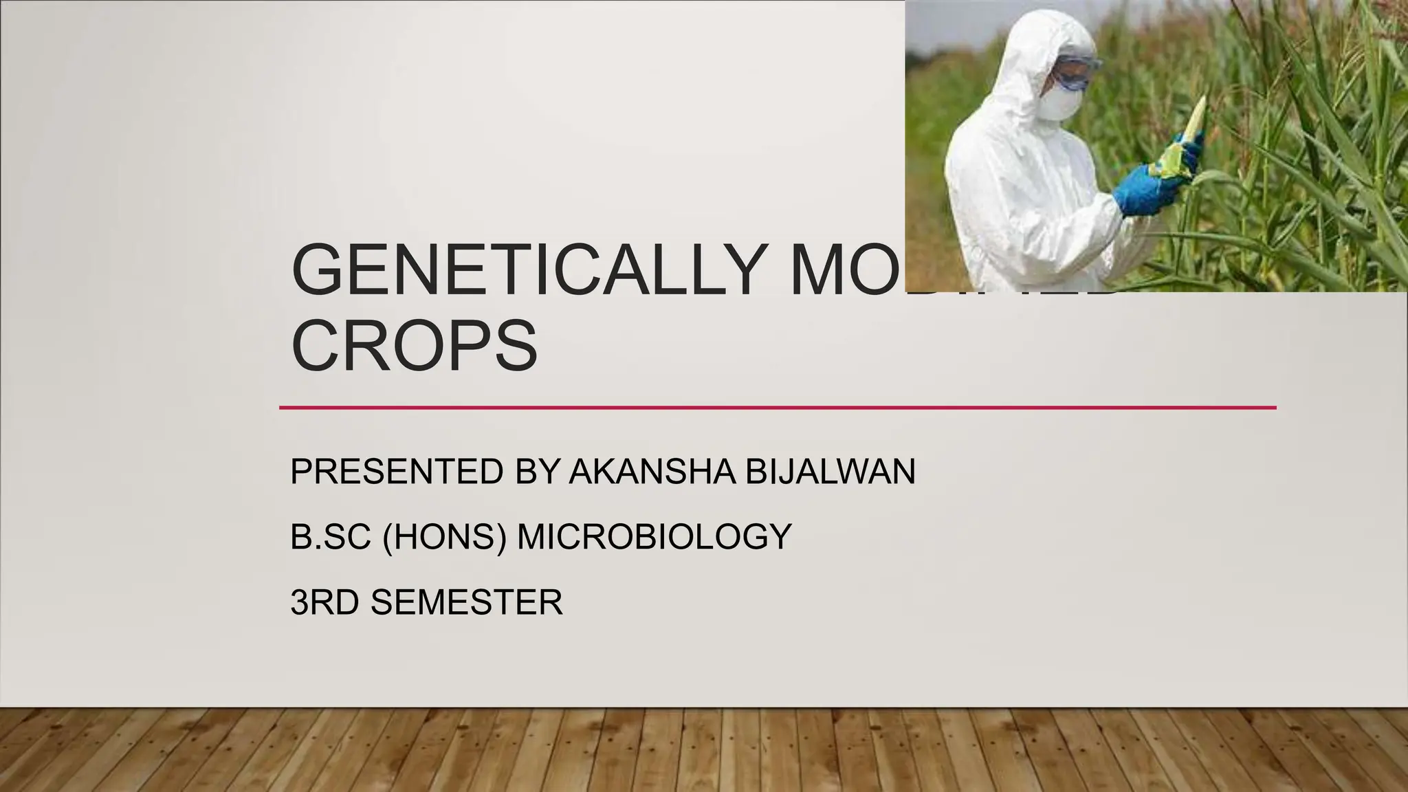 Genetically modified crops with examples.ppt