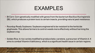 Genetically modified crops with examples.ppt