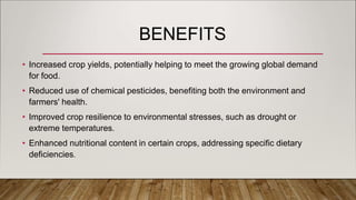 Genetically modified crops with examples.ppt