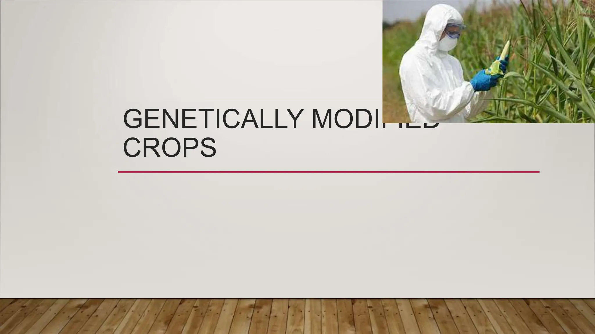 Genetically modified crops presentation.ppt