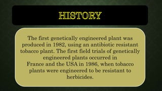 Genetically modified crops and animals | PPTX