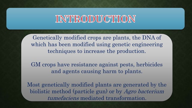 Genetically modified crops and animals | PPT