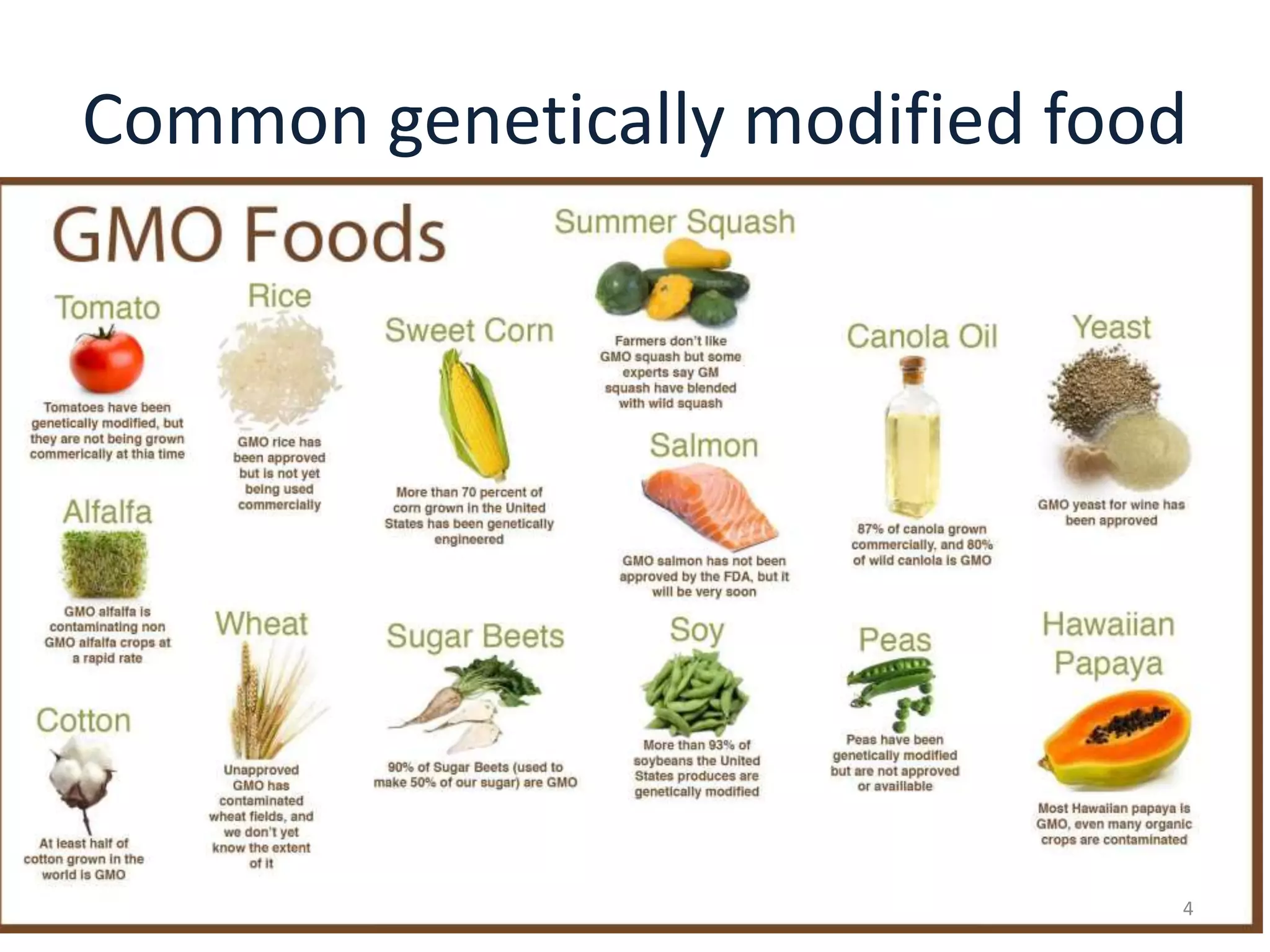 Genetically modified food | PPTX