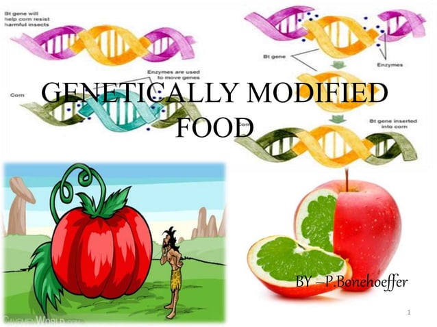 Genetically modified food | PPT