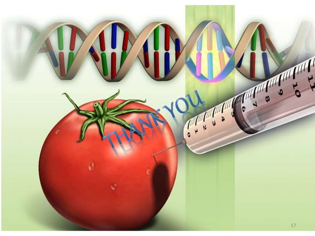 Genetically modified food | PPT
