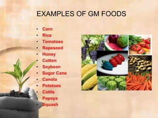 Genetically modified food and its consequences on human health and ...