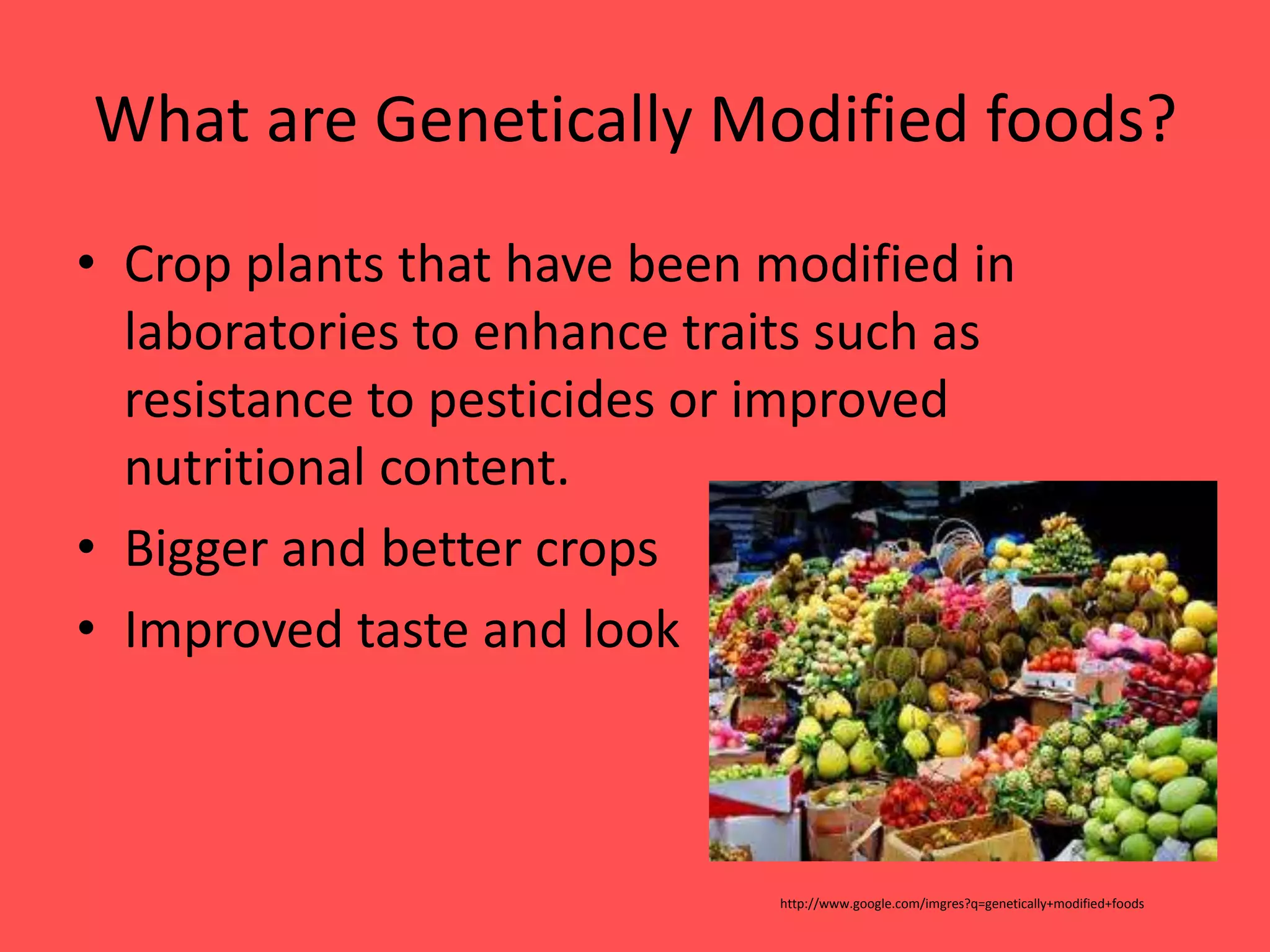 Genetically modified foods | PPTX
