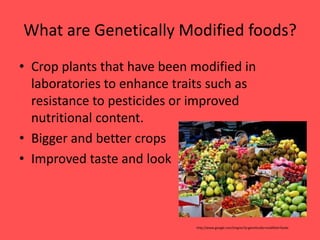 Genetically modified foods | PPTX