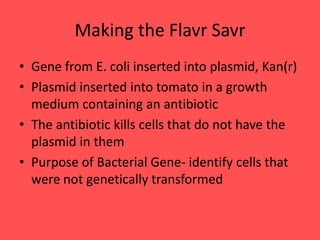 Genetically modified foods | PPTX