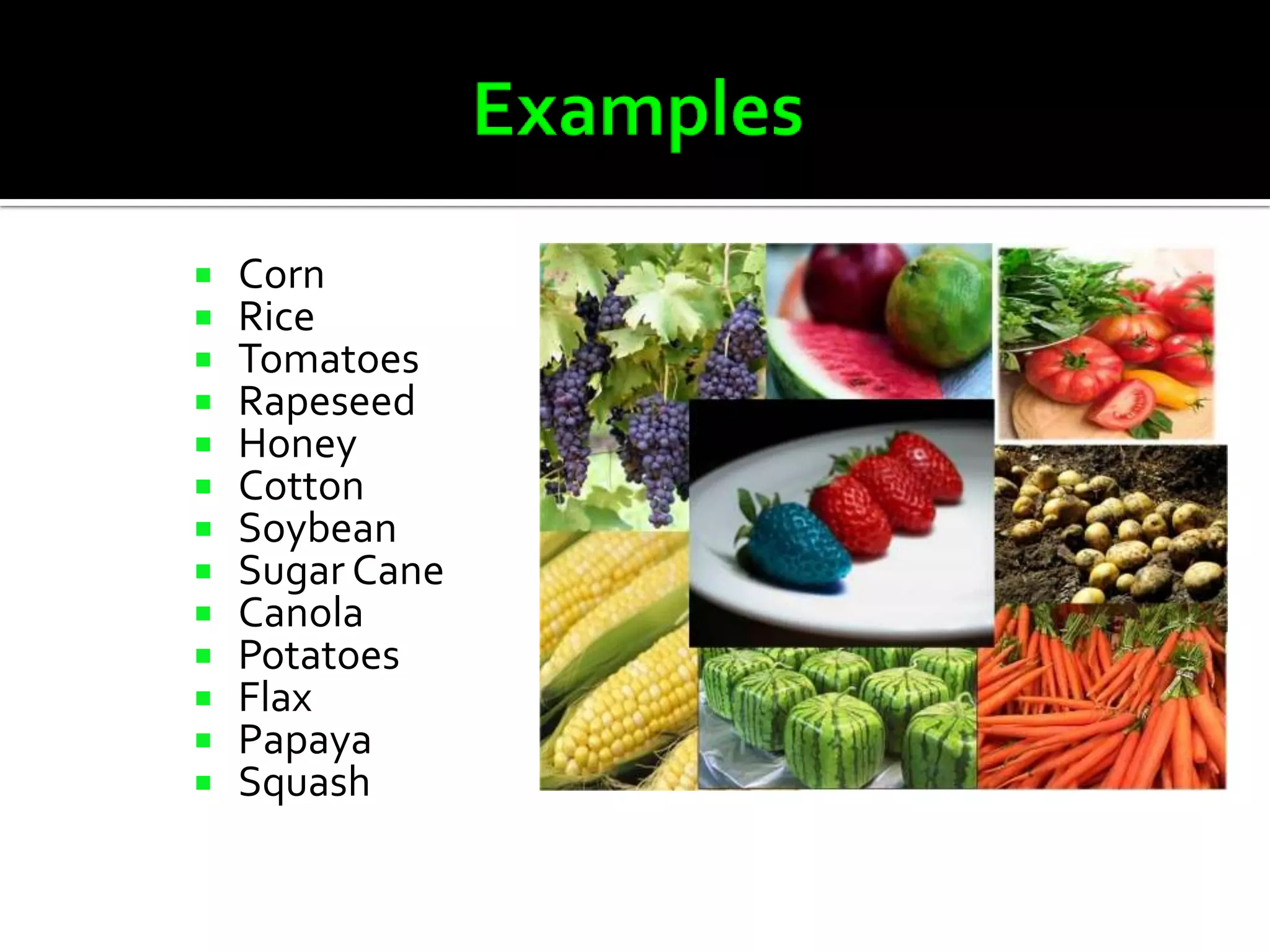 Genetically Modified Foods | PPTX