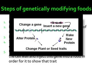 Genetically Modified Foods | PPTX
