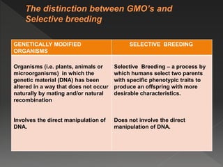 Genetically modified foods | PPTX