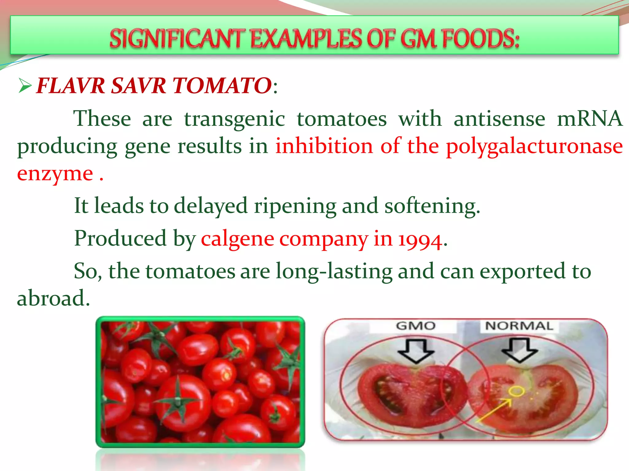 Genetically modified foods | PPTX
