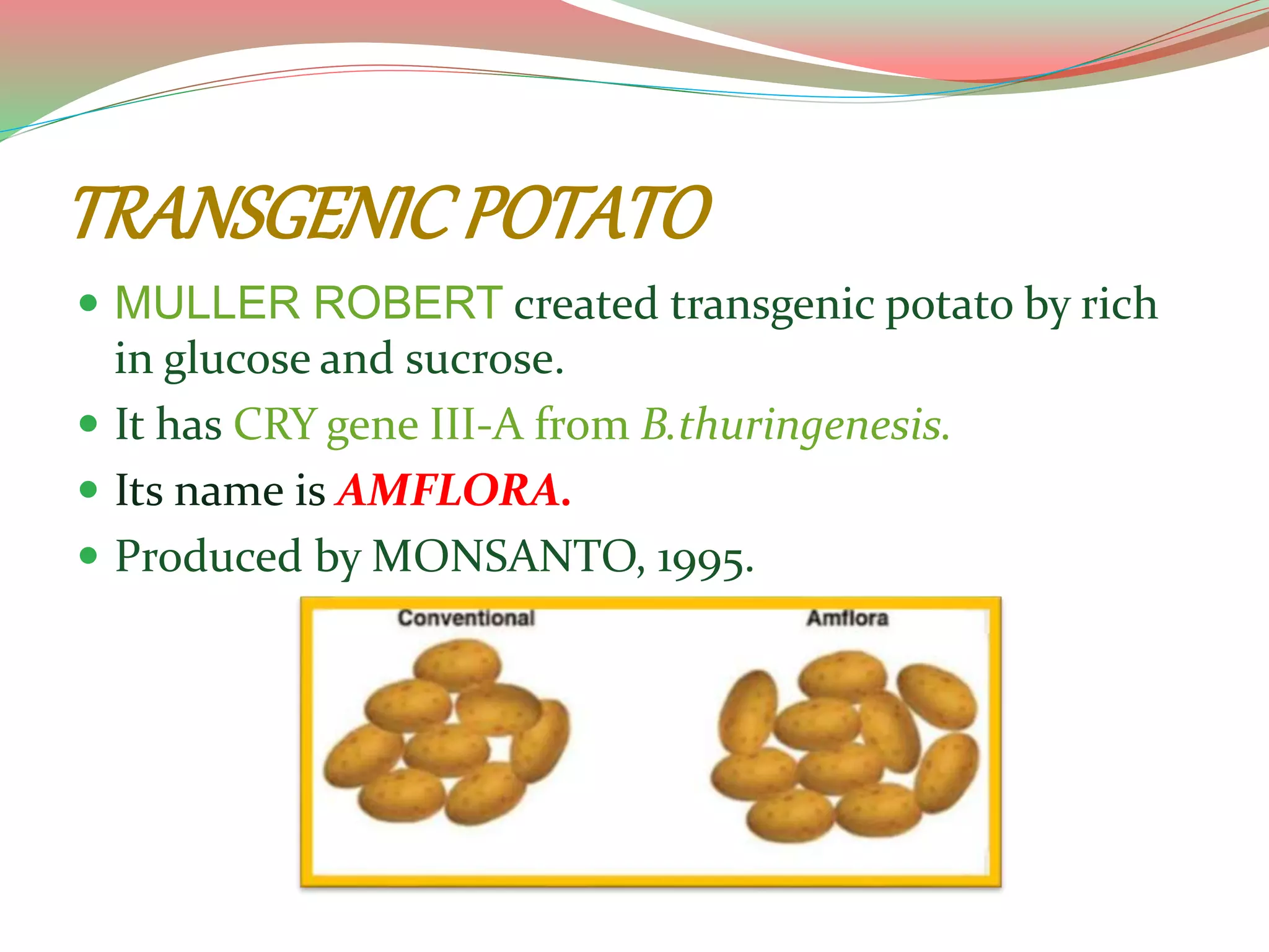 Genetically modified foods | PPTX