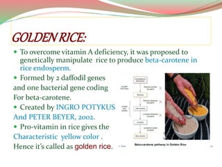 Genetically modified foods | PPTX