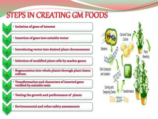Genetically modified foods | PPTX