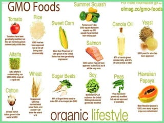 Genetically modified foods | PPTX