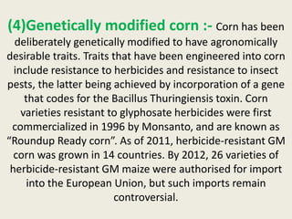 Genetically modified foods | PPTX | Agriculture | Industries